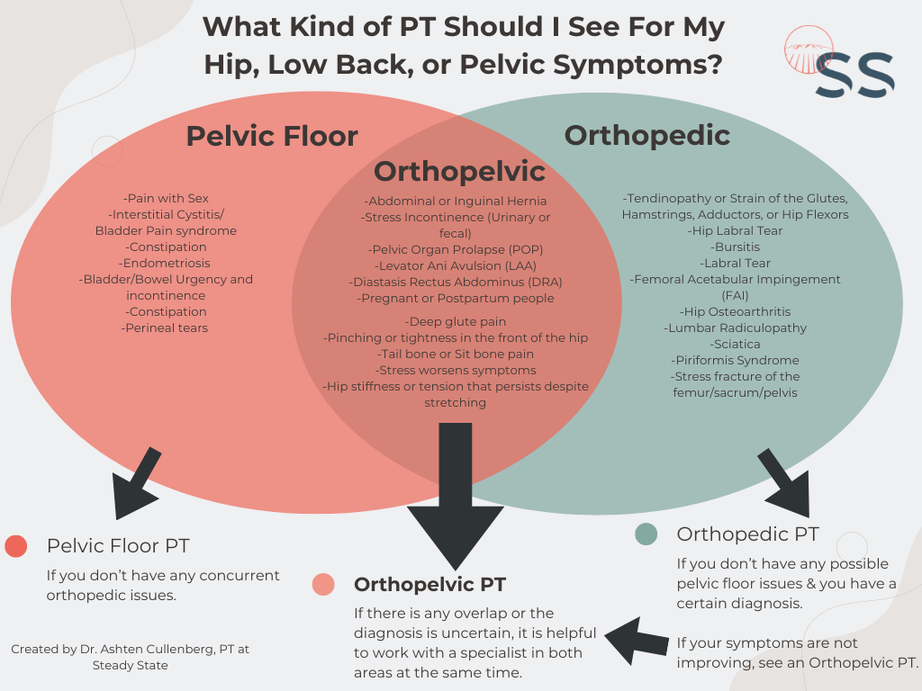 Understanding How the Pelvic Floor Impacts Hip and Low Back Pain – The ...